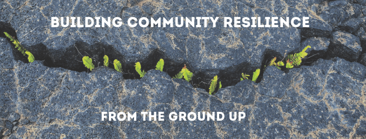 Resilience Hubs: How Communities are Getting Started